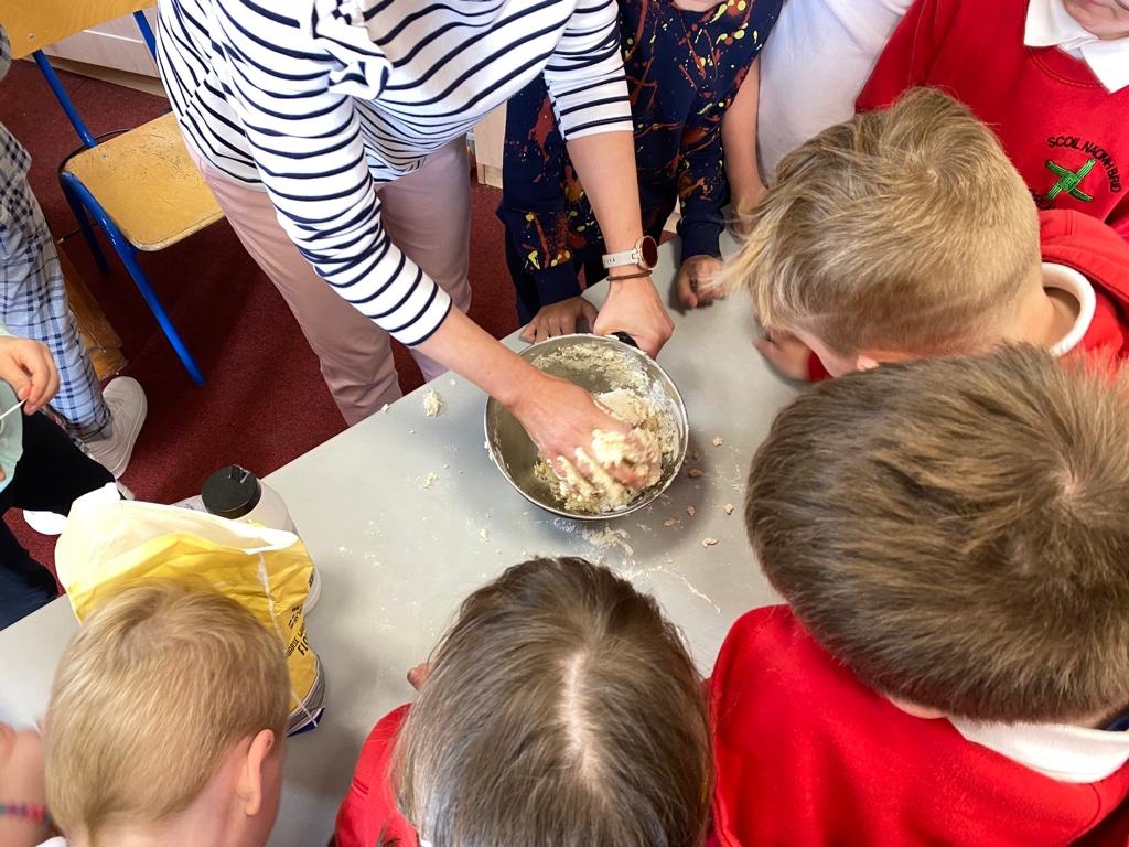 Salt Dough Zoo Animals… – Errew National School