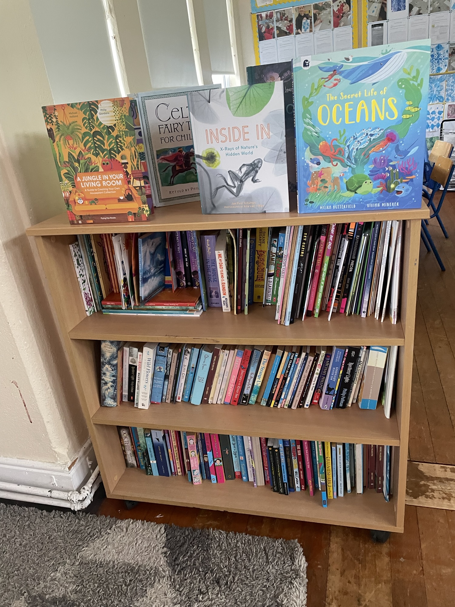 Our Extensive Library – Errew National School